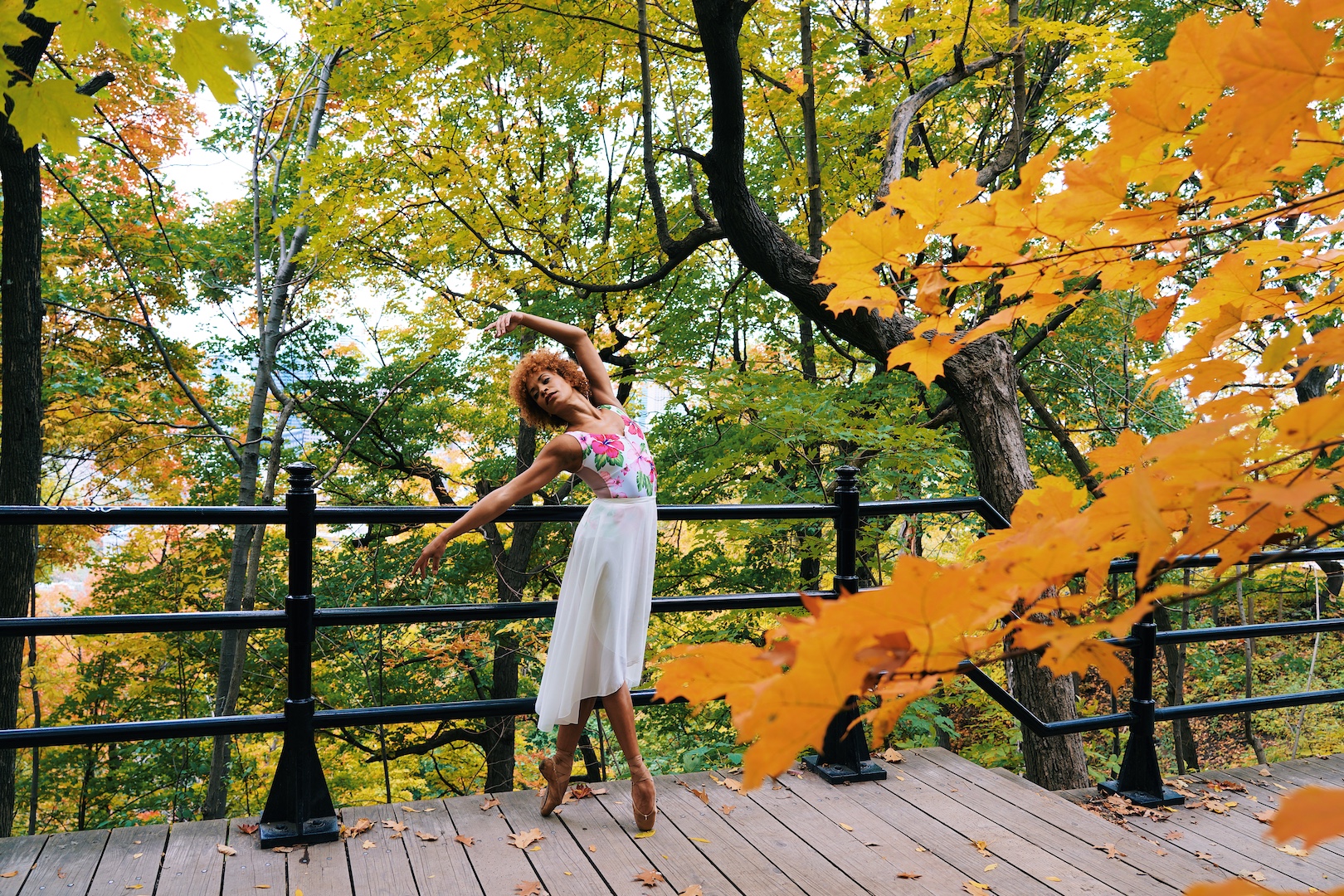 Fall Photoshoot With Our Dancers on the Mount Royal - Les Grands ...