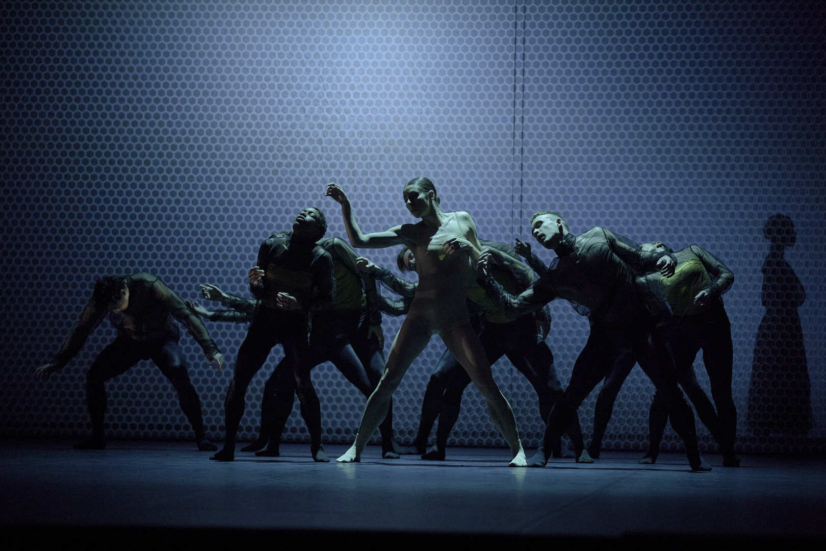 Beguile - Les Grands Ballets Canadiens